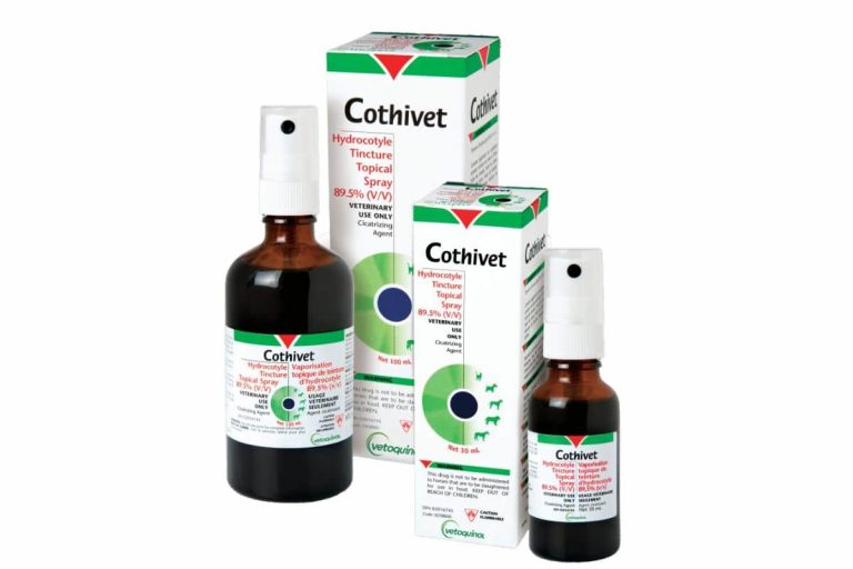 Cothivet® spray antiseptique et qui aide à la cicatrisation pour toutes ...