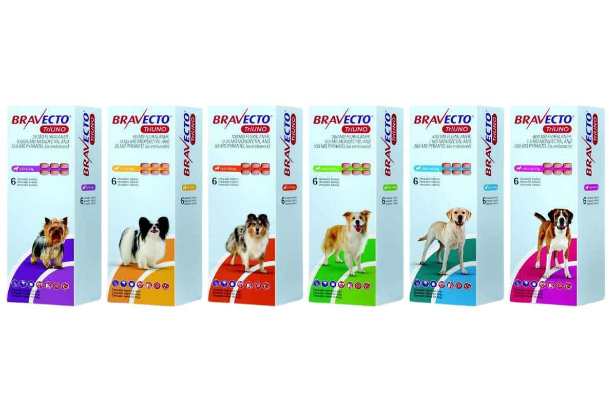 BRAVECTO TriUNO®: Comprimés à croquer pour chiens pour une protection ...