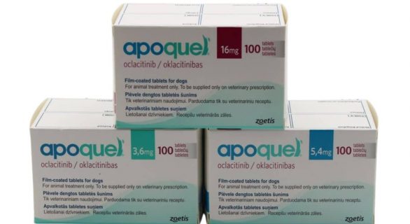 LIBRELA®: Solution injectable contre la douleur arthrosique chez le ...
