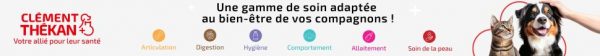 Eluracat : stimule l'appétit et le poids de Votre Chat - ZePetCoach