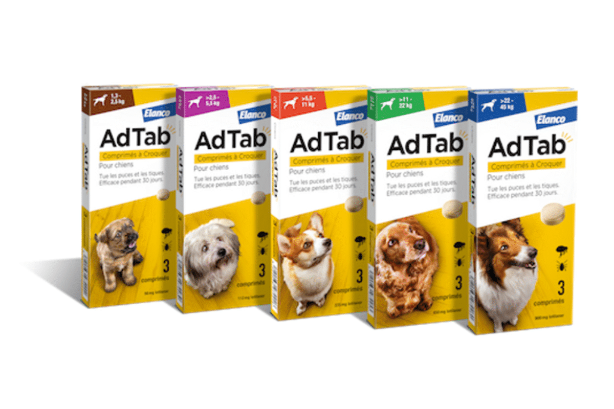 Bravecto 150 mg/ml suspension injectable pour chiens - ZePetCoach