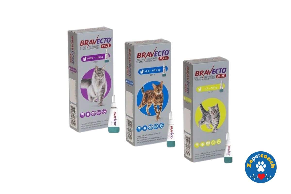 Bravecto Plus Chat Spot-on : Antiparasitaire Externe - ZePetCoach
