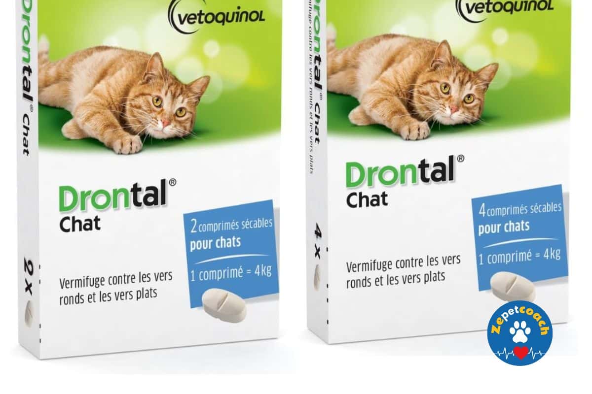 Drontal Chat : vers ronds et vers plats en une seule administration ...
