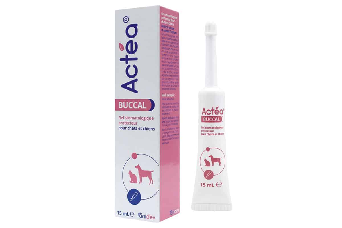 ACTEA® BUCCAL Gel stomatologique protecteur - ZePetCoach