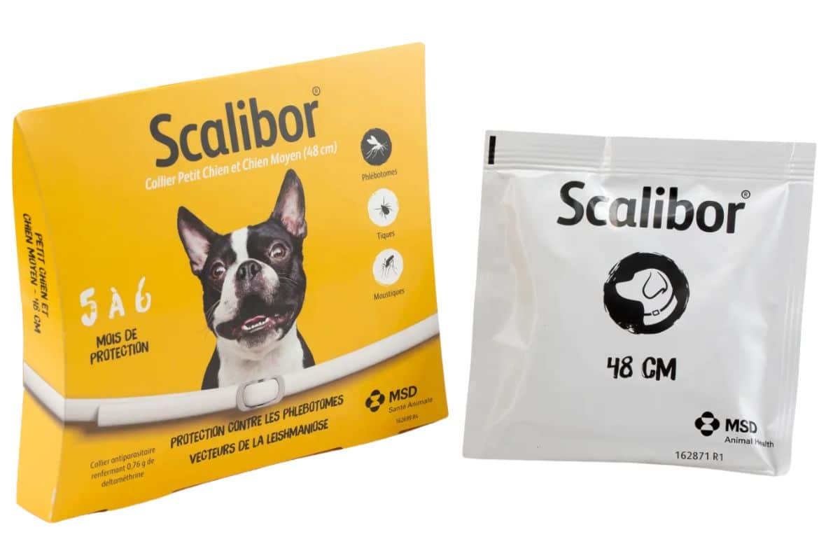 Bravecto 150 mg/ml suspension injectable pour chiens - ZePetCoach