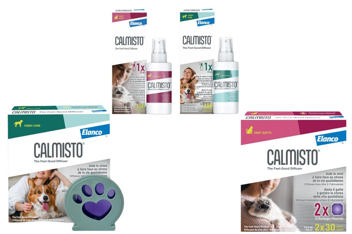 MEGECAT pour chat - ZePetCoach